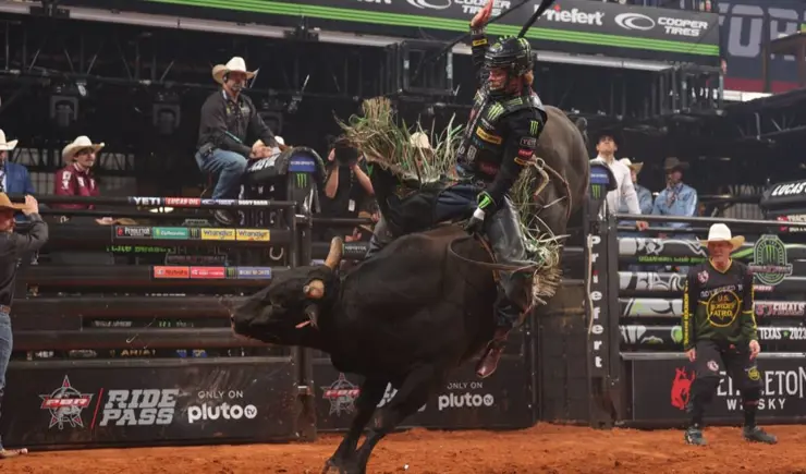 PBR World Finals 2024